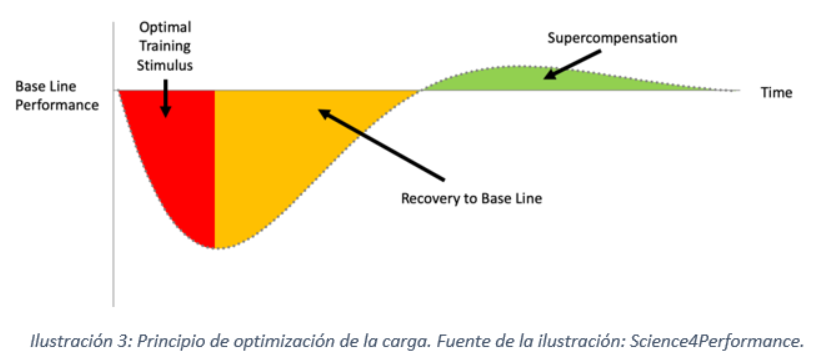 Los principios de entrenamiento – move IT